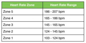 Heart Rate Monitors and Cycling: Are you in the zone? | Bike198