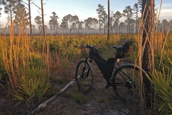 CNN Money Article - Specialized Bikes | Bike198