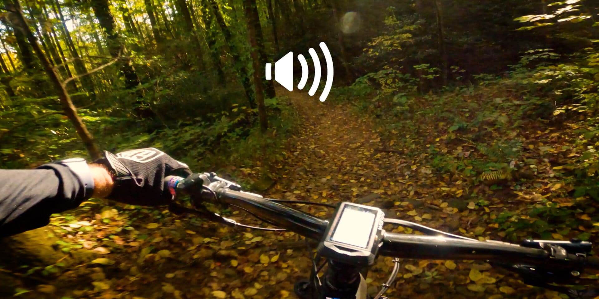 Sony LinkBud Review – Did Sony accidently make the perfect biking ear ...